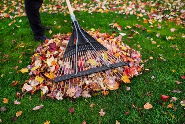 Spring Yard Clean-Up 101 - The Organization House