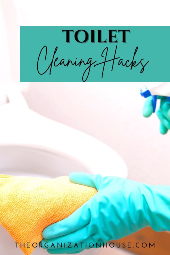 Toilet Cleaning Hacks - The Organization House