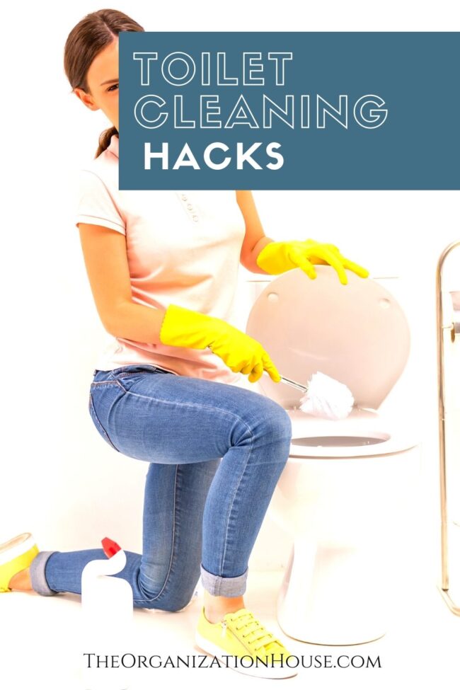 Toilet Cleaning Hacks - The Organization House